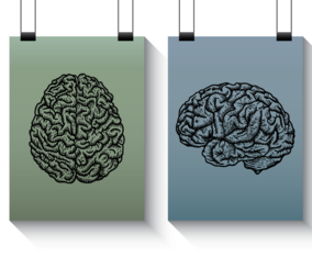 is the brain like a muscle - 5399 Free Vectors to Download | FreeVectors