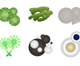 Free mold - Vector Art