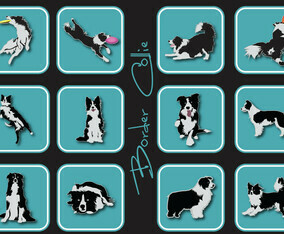 border collie game sheperd - 3880 Free Vectors to Download | FreeVectors