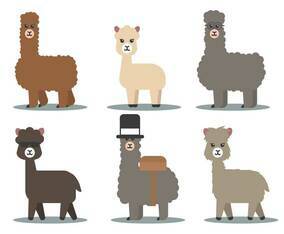 Free llama - Vector Art