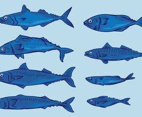 Free fish - Vector Art