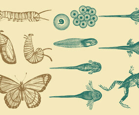 maneskin before fame - 54 Free Vectors to Download | FreeVectors