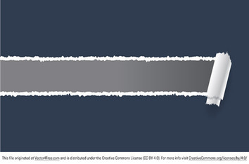 Free paper rip - Vector Art