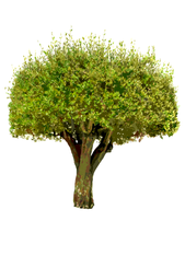 IAN Symbol Libraries | FreeVectors