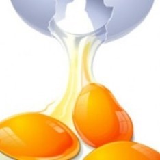 cdr - 17 Free Vectors to Download | FreeVectors