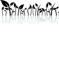 leaf - 193 Free Vectors to Download | FreeVectors