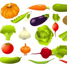 vegetables - 17 Free Vectors to Download | FreeVectors