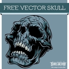 skull - 172 Free Vectors to Download | FreeVectors
