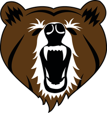 Bear Vector | FreeVectors