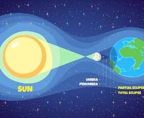 Free umbra - Vector Art