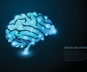 Free brain logo - Vector Art