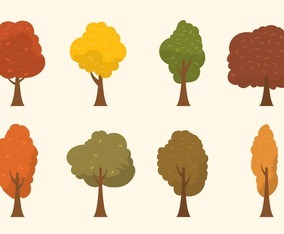 Autumn Tree Icon Collection