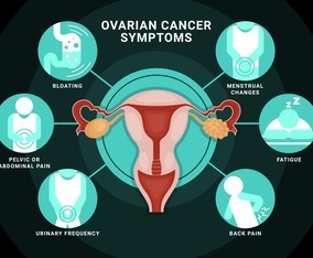 Free ovarian - Vector Art