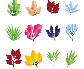Free marijuana leaf - Vector Art