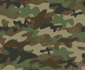 Forest Military Pattern